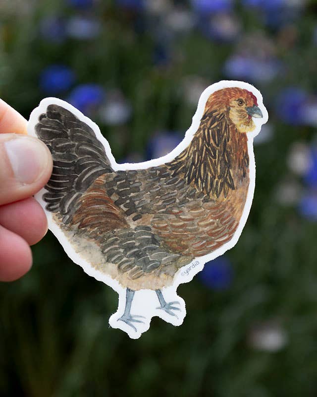 Ameraucana Chicken Vinyl Sticker – Jen's Organic Baby