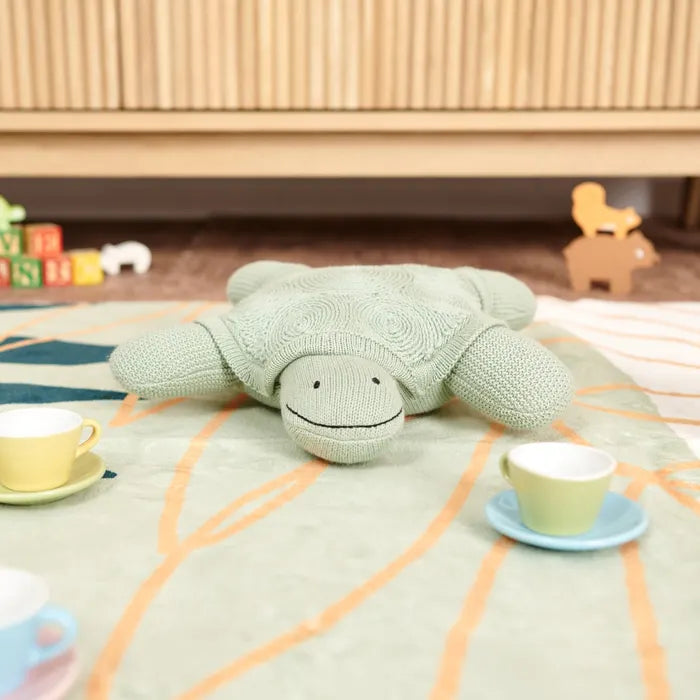 Organic Cotton Stuffed Animal - Terry the Turtle – Jen's Organic Baby